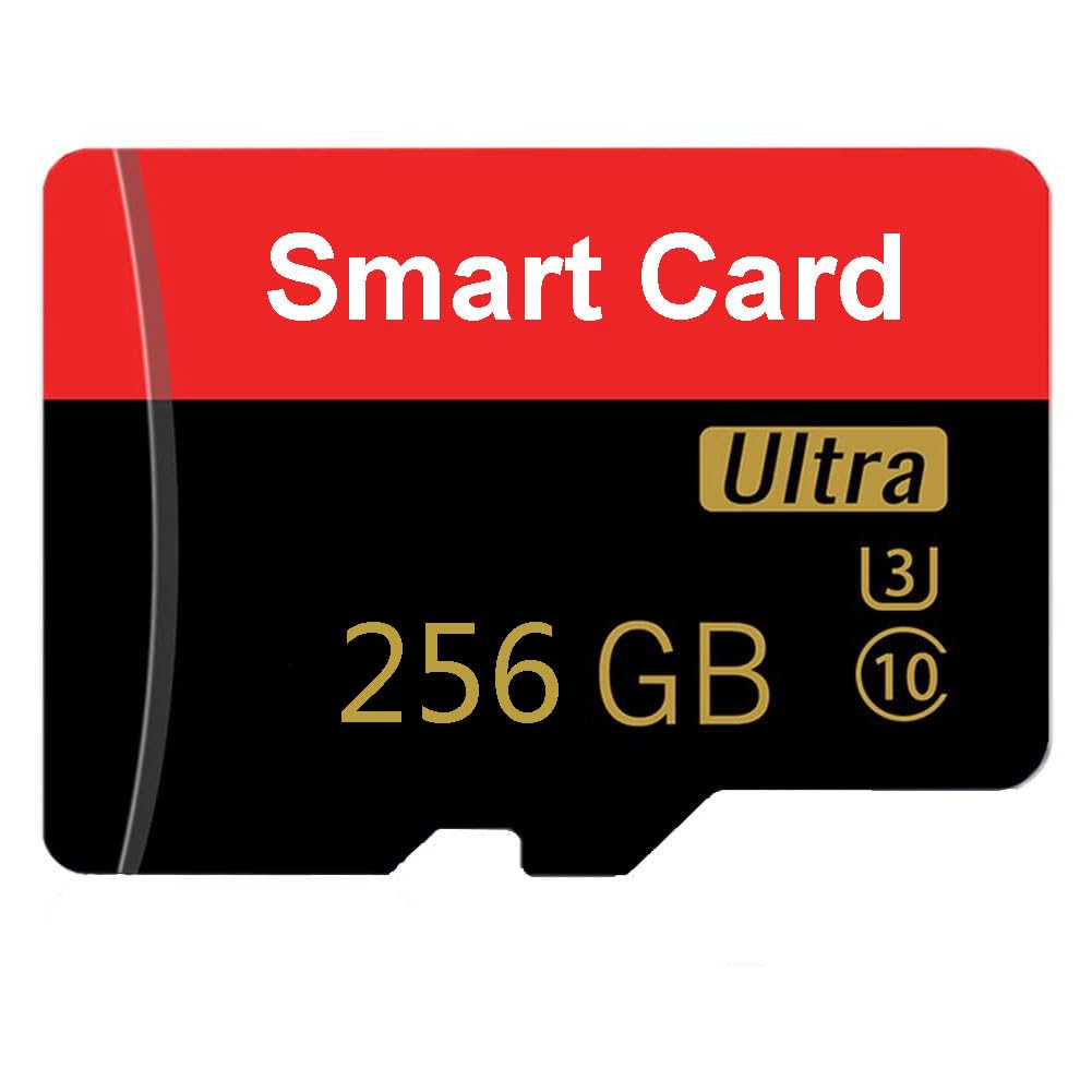 Amazon.com: Memory Card 256GB Mini TF Card Ultra High Speed Smart Card ...