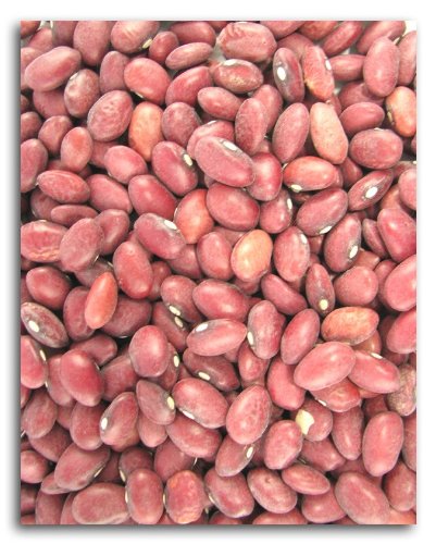Amazon.com : Bulk Red Beans (small) - 5 lbs. : Dried Beans : Grocery ...