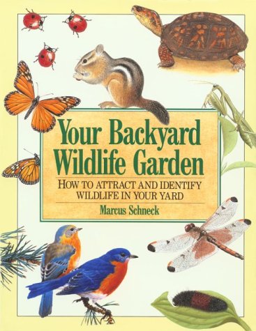 Your Backyard Wildlife Garden: How to Attract and Identify Wildlife in ...
