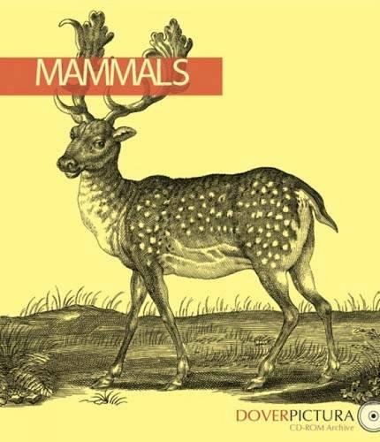Mammals (Dover Pictura Electronic Clip Art): Thalia Large, Alan Weller ...