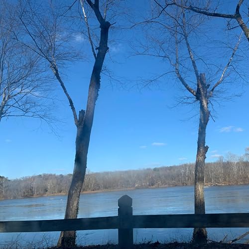 Amazon MusicでMaggie Weirの12 Strings In Syncを再生する