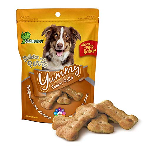 Los 10 Mejores Modelos De Yummy