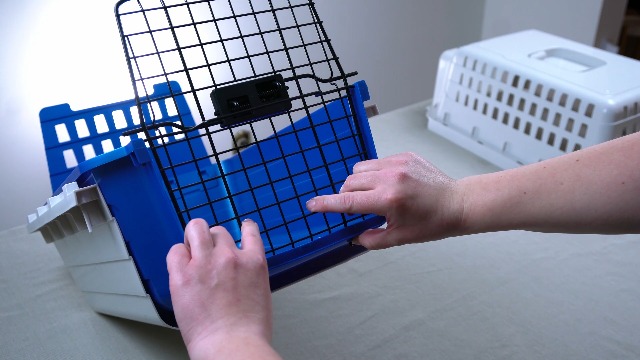 Watch Assembly Video for Calm Carrier & Calm Carrier Max on Amazon Live