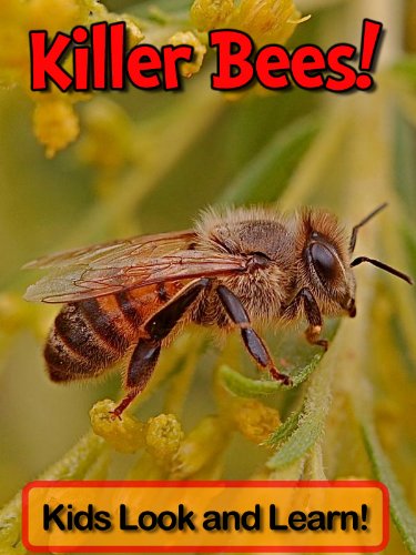 Killer Bees! Learn About Killer Bees and Enjoy Colorful Pictures - Look ...