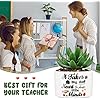Amazon.com: Rtteri 9 Pcs Teacher Appreciation Gifts Ceramic Succulent ...
