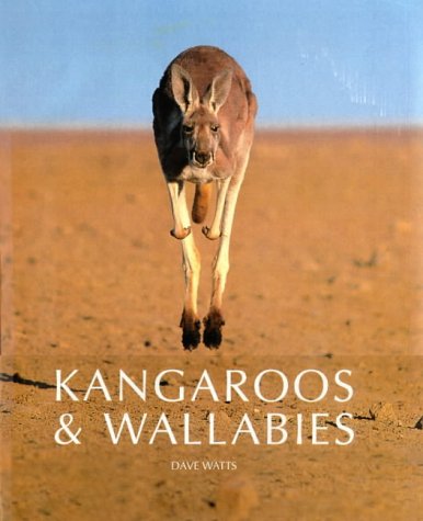 Kangaroos & Wallabies of Australia: Watts, Dave: 9781864363203: Amazon ...