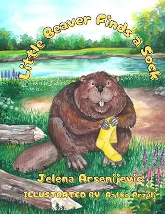 Little Beaver Finds a Sock: Arsenijevic, Jelena: 9798870115511: Amazon ...