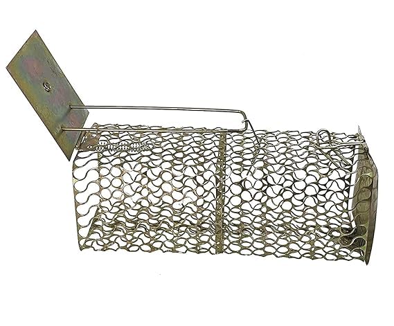 BHOLA Engineering Medium Size Rat Trap Cage, Rodent Control, Pinjra for ...