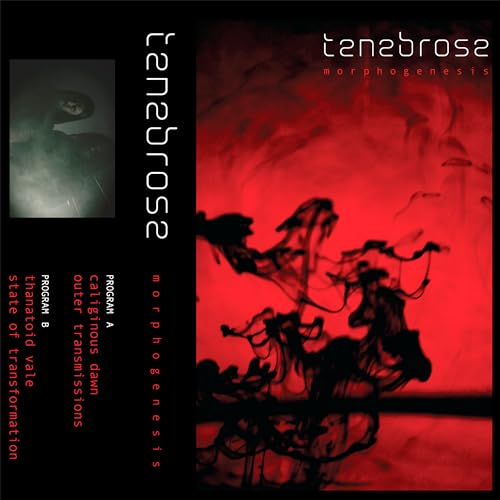 Play Morphogenesis by Tenebrose on Amazon Music
