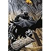 Batman Poster Gotham Stalker (Comic) (24"x36") : Amazon.ca: Home