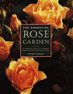 Master the Art of Rose Gardening: A Beginner's Handbook to Growing and ...