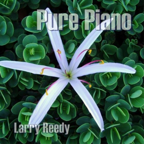 Amazon.com: Pure Piano : Larry Reedy: Digital Music