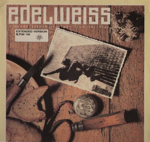 Amazon.com: Bring me Edelweiss (US-Remix) / Vinyl Maxi Single [Vinyl 12 ...