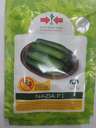 CUCUMBER HYBRID SEEDS NAZIA F1 25 GR. : Amazon.in: Garden & Outdoors