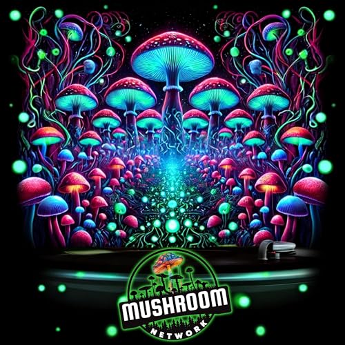 Play Myco-Dance Floor (The Forest Funk) by The Mushroom Network on ...