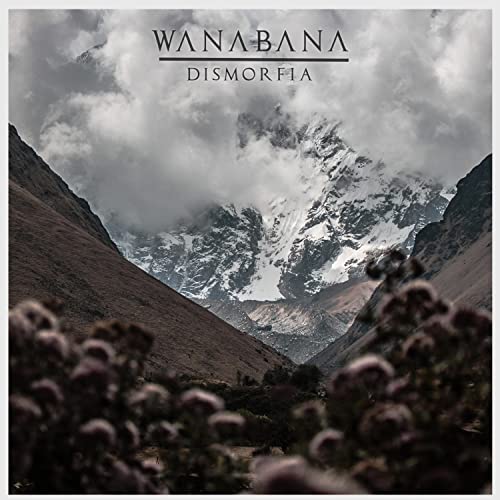 Play DISMORFIA by wanabana on Amazon Music