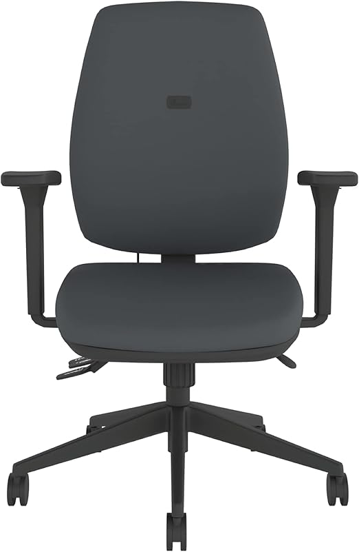 Posturite Homeworker Plus Ergonomic Chair - Home and Office Chair for ...