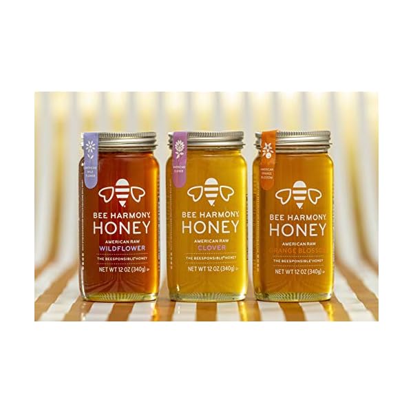 Bee Harmony Honey 3 Pack Variety Pack, 36 Ounce (Clover, Wildflower and ...