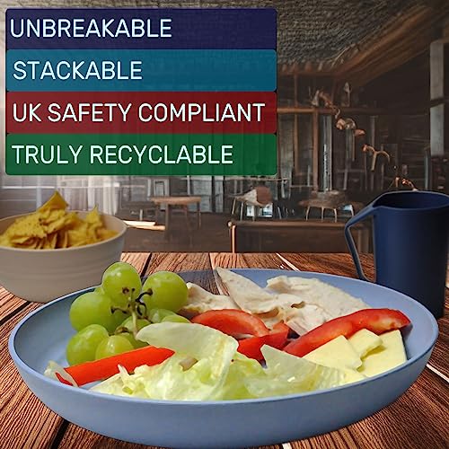 NowCooks Unbreakable Plates Set of 4, UK/EU Tested, Plastic Plate ...