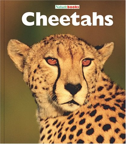 Cheetahs: Big Cats (Naturebooks): Markert, Jenny: 9781567668841: Amazon ...