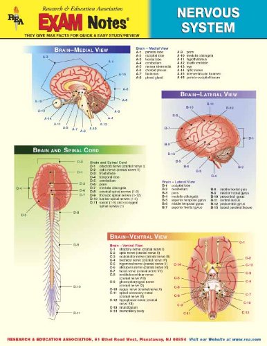 EXAMNotes for Nervous System (EXAMNotes): 9780878918317: Medicine ...