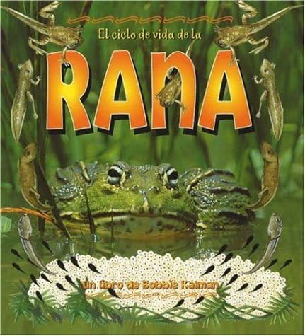 Frog Life Cycle In Spanish