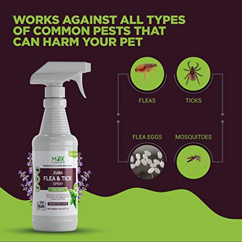 mdxconcepts Organic Flea and Tick Control Spray for Dogs - Made in USA ...