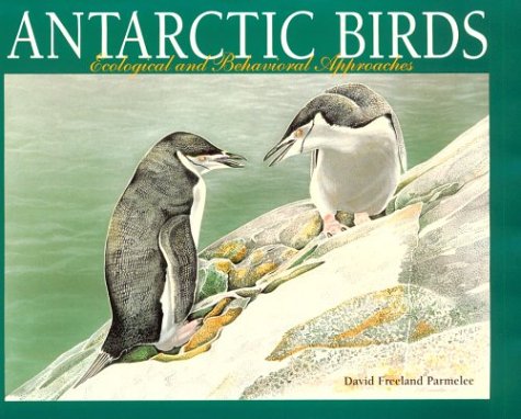 Amazon.com: Antarctic Birds: Ecological and Behavioral Approaches ...