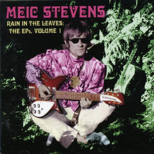 STEVENS,MEIC - Rain In The Leaves: The EPs, Vol. 1 - Amazon.com Music