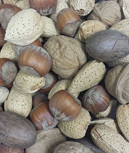 The 30 Best Mixed Nuts in Shells of 2025 [Verified] - Cherry Picks