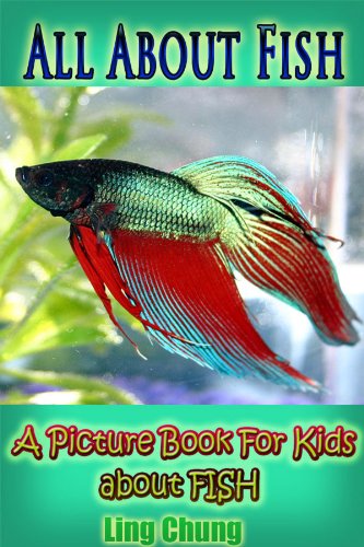 Children's Book About Fish: A Kids Picture Book About Fish With Photos ...
