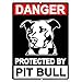 Amazon.com : Dark Branches Warning Protected Pit Bull Pitbull Dog ...