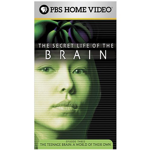 Amazon.com: The Secret Life of the Brain: Episode Three The Teenage ...