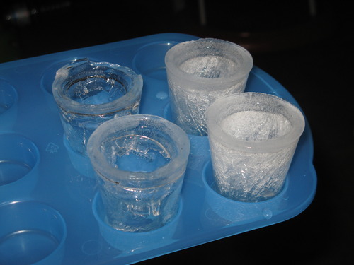 Amazon.com: Ice Shots - Set of 12 Ice Mold Shot Glasses With Serving ...