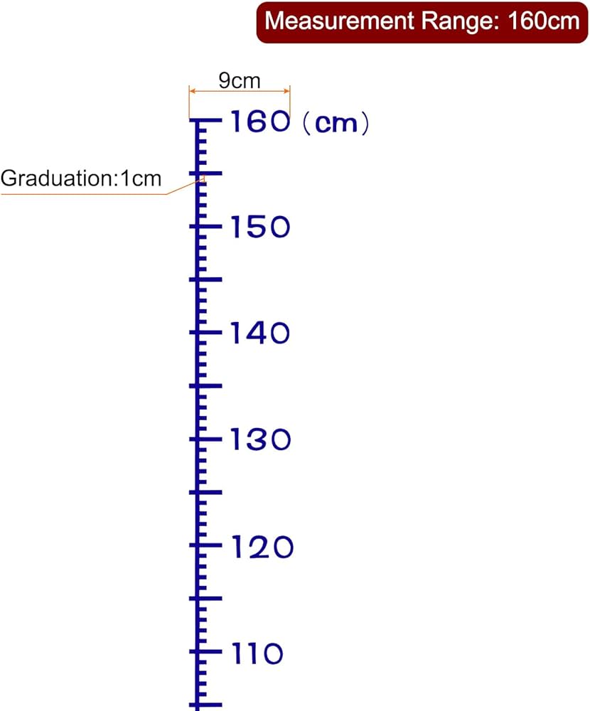 Nursing Metric Conversion Chart Ruler Height Ruler Growth Chart For