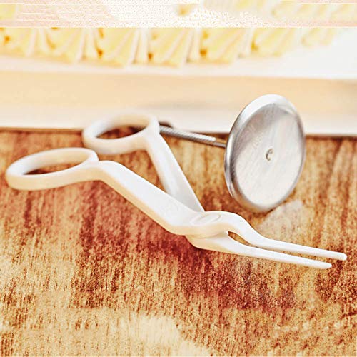 2 pcs/Set Flower Lifter Sugarcraft Fondant Scissor and Mounted Flower ...