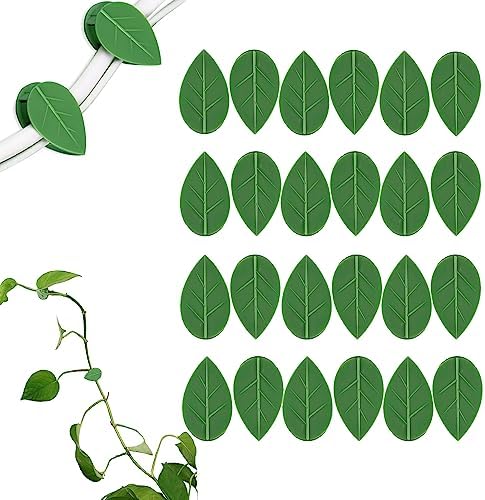 Amazon.com : Kaoolaa Plant Clips for Climbing Plants（40 Pack）, Self ...