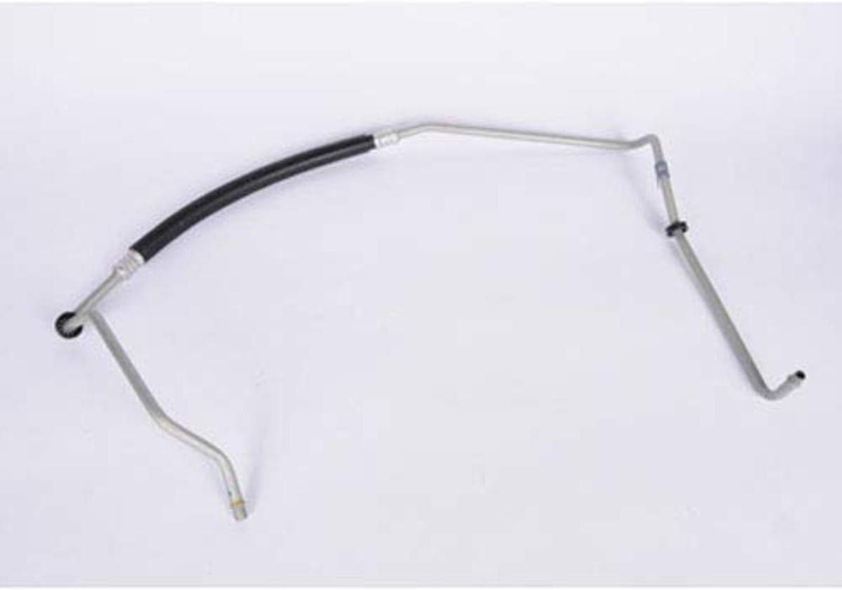 Amazon.com: GM Genuine Parts 25999417 Automatic Transmission Fluid ...