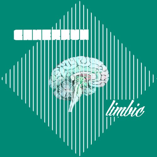 Play Limbic by Can Ergun on Amazon Music