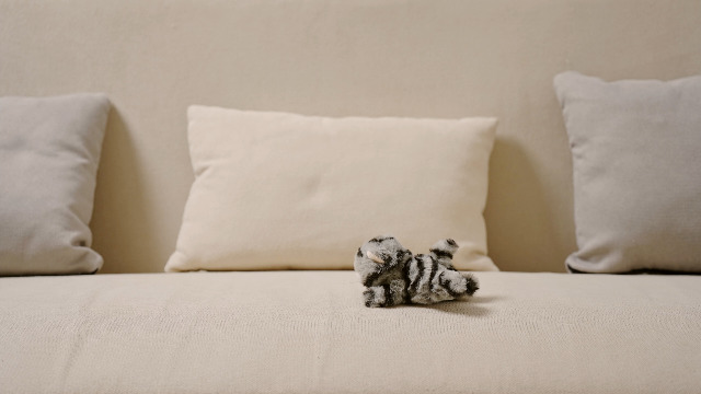 Snapklik.com : Skylety 5 Pieces Stuffed Animal Plush Cat Set Include ...