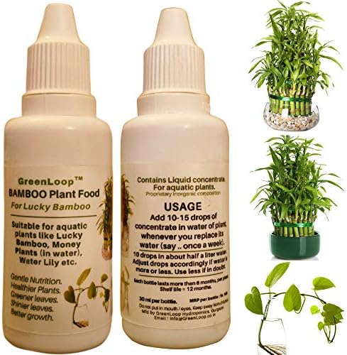 GreenLoop - Bamboo Plant Food (& for Money Plants) - Liquid Food for ...