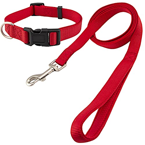 Unleash Your Dog's Potential with These Top 10 Leash Collars: A ...