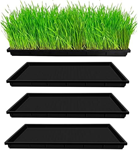 Trustbasket Wheat Grass Trays - Set of 4 Growing Microgreen Tray ...