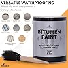 Universal Black Bitumen Paint 5L with Brush Included – Outdoor Solvent ...