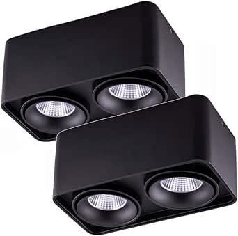 NyzYL 2-Pack COB Surface Spotlight/Downlight Black LED Spot Light Wall ...