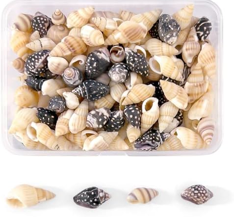Mixed Tiny Sea Shells for Crafts - Natural Shell Beads Bundle (125pcs ...