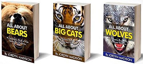 All About Big Cats, Wolves and Bears - Lions, Tigers, Leopards, Cougars ...