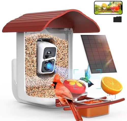 Amazon.com : WayCai Bird Feeders Pro - Smart Hummingbird Bird Feeder ...