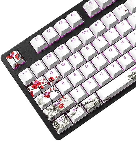 MOLGRIA 129 Set Light-Go-Through Custom Keycaps, Double-Shot PBT Cherry ...