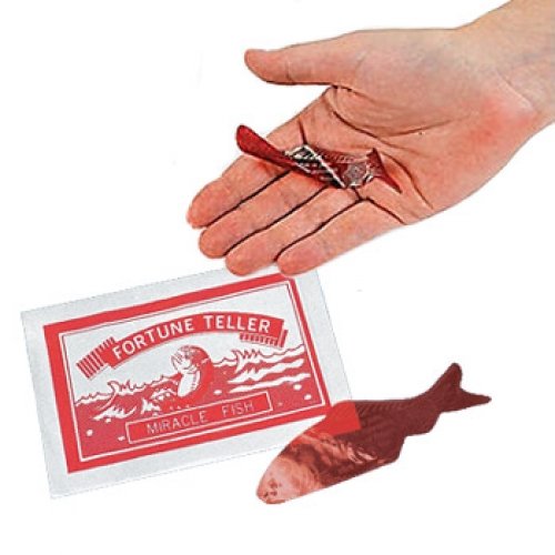Amazon.com: Fortune Teller Fish (144/Pack) : Toys & Games